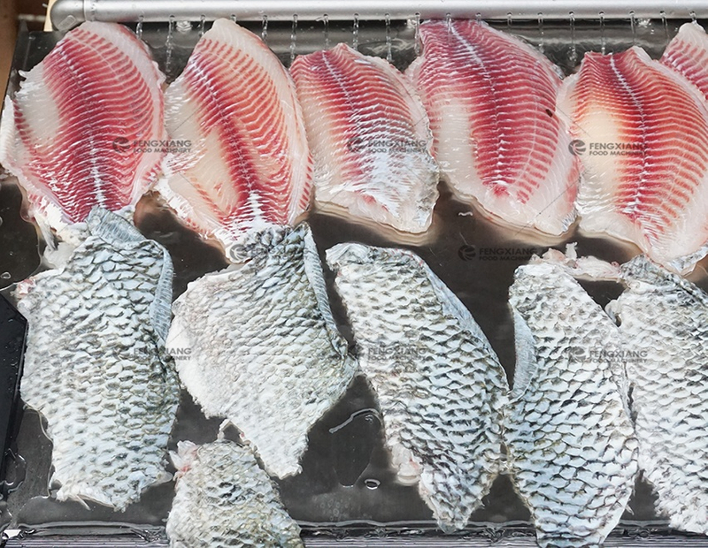 Industrial Tilapia Cod Fish Salmon Skinning Peeling Machine from China ...